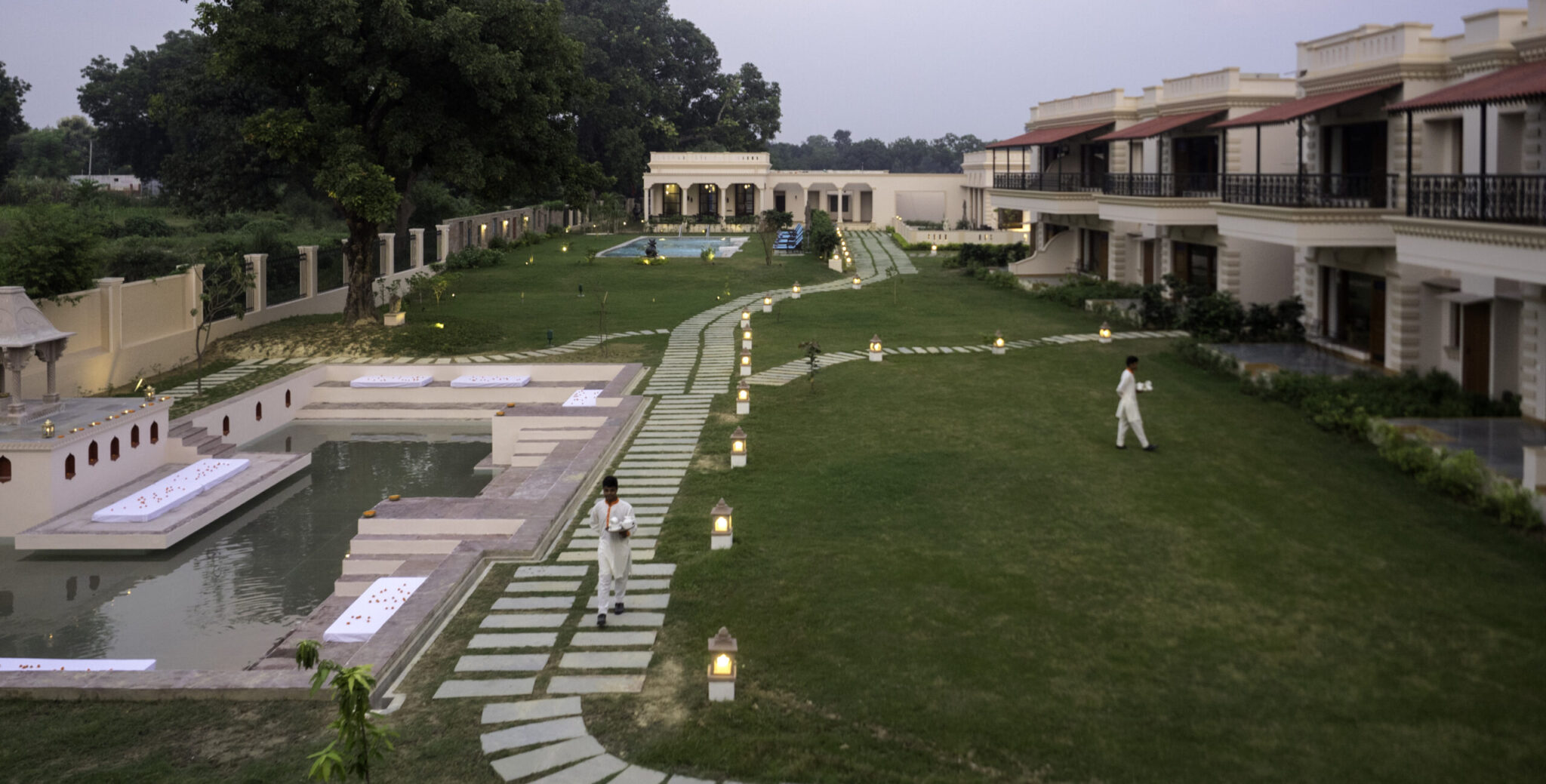 Gallery - Tree Of Life