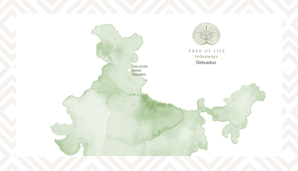 Tree Of Life - Dehradun Foothills | Resort in Dehradun - Tree Of Life