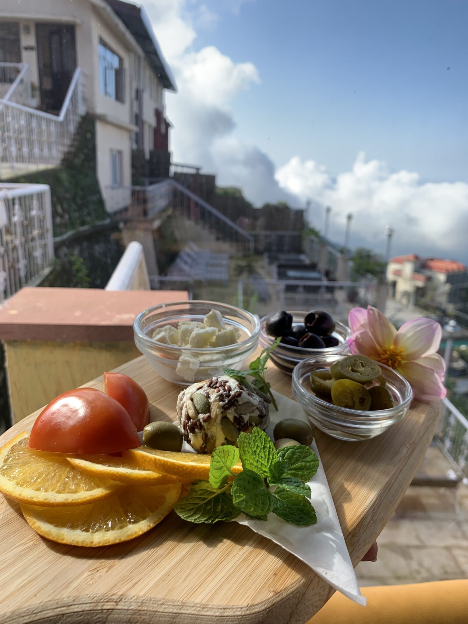 Gallery - Tree Of Life