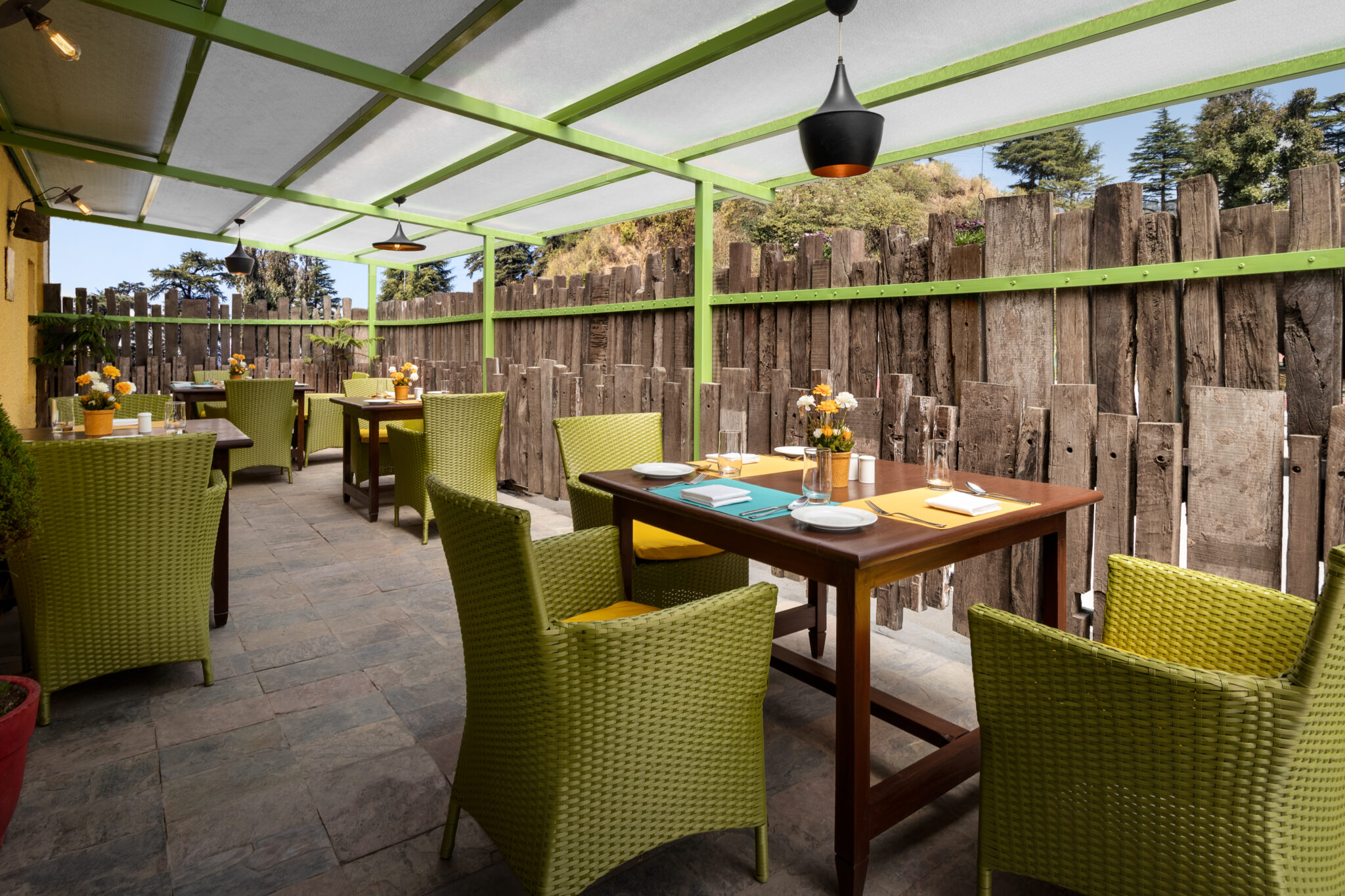 Gallery - Tree Of Life