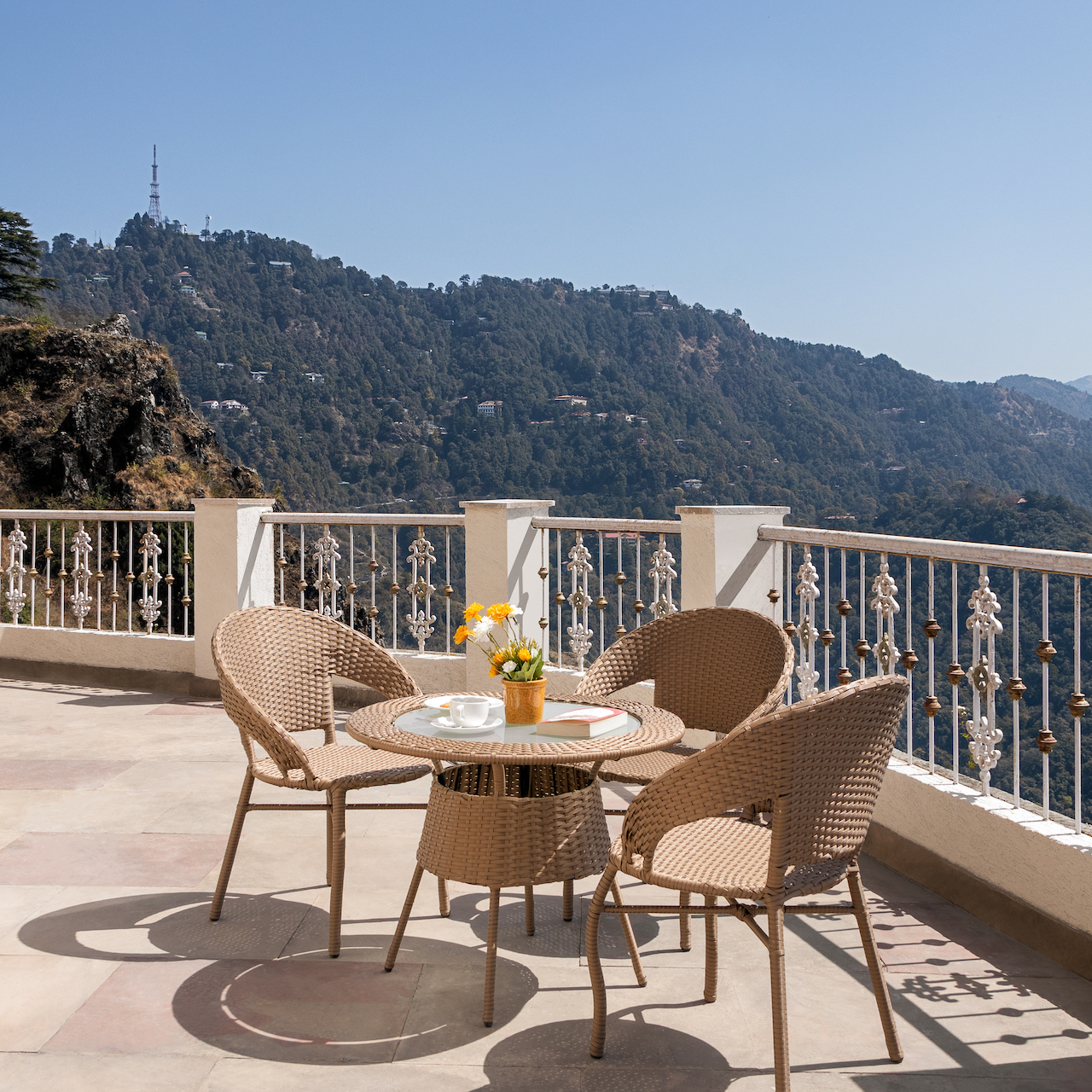 Gallery - Tree Of Life