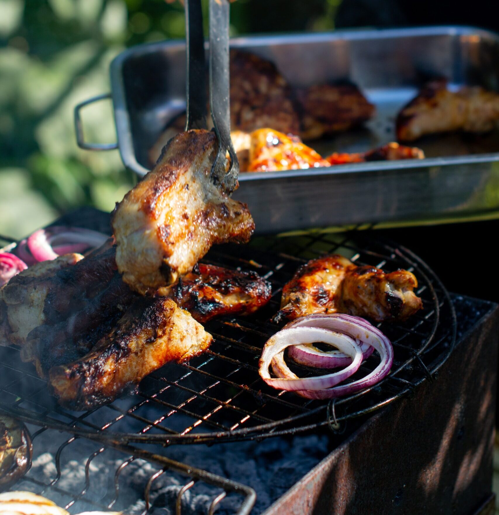 Experiences - Tree Of Life