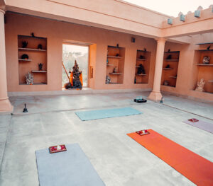 Tree of Life - Resort & Spa | Resort in Jaipur - Tree Of Life