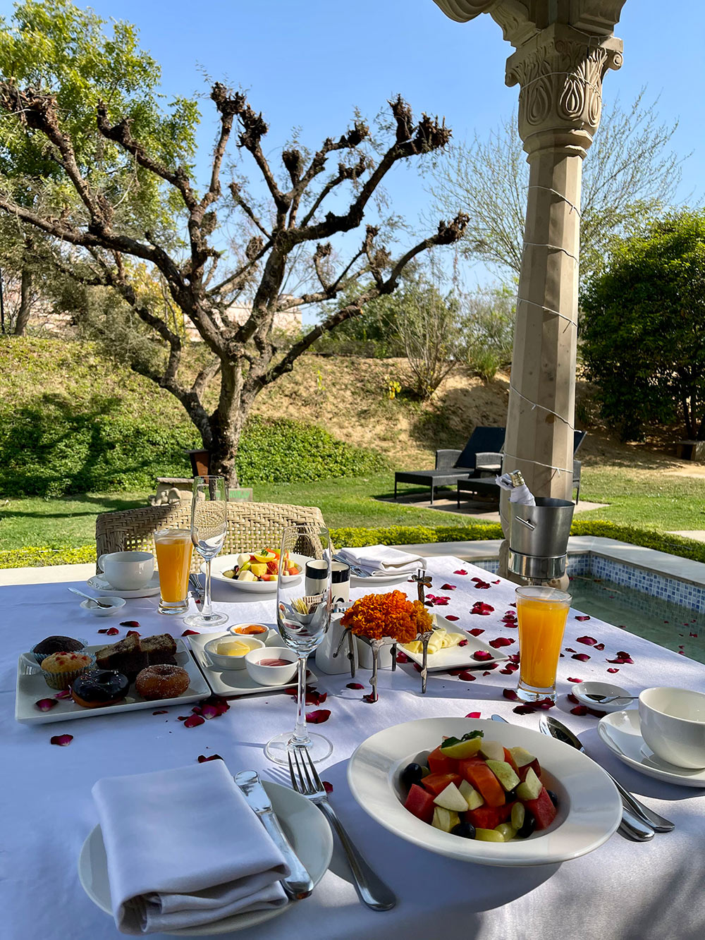 Tree of Life - Self Drive Getaways - Tree Of Life