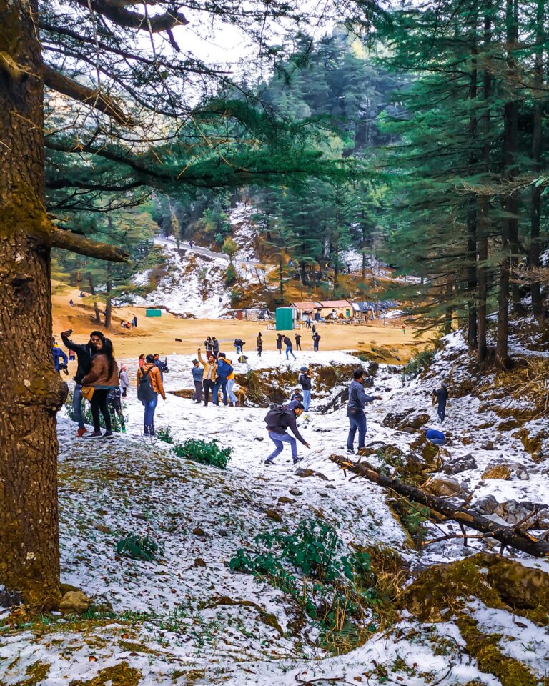 Trekking in Mussoorie - Tree Of Life