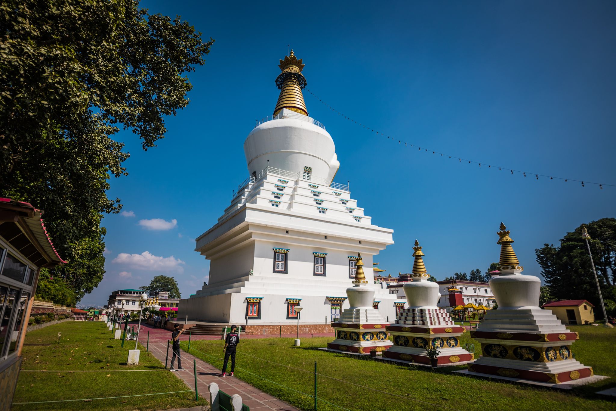 Places to Visit in Dehradun - Tree Of Life