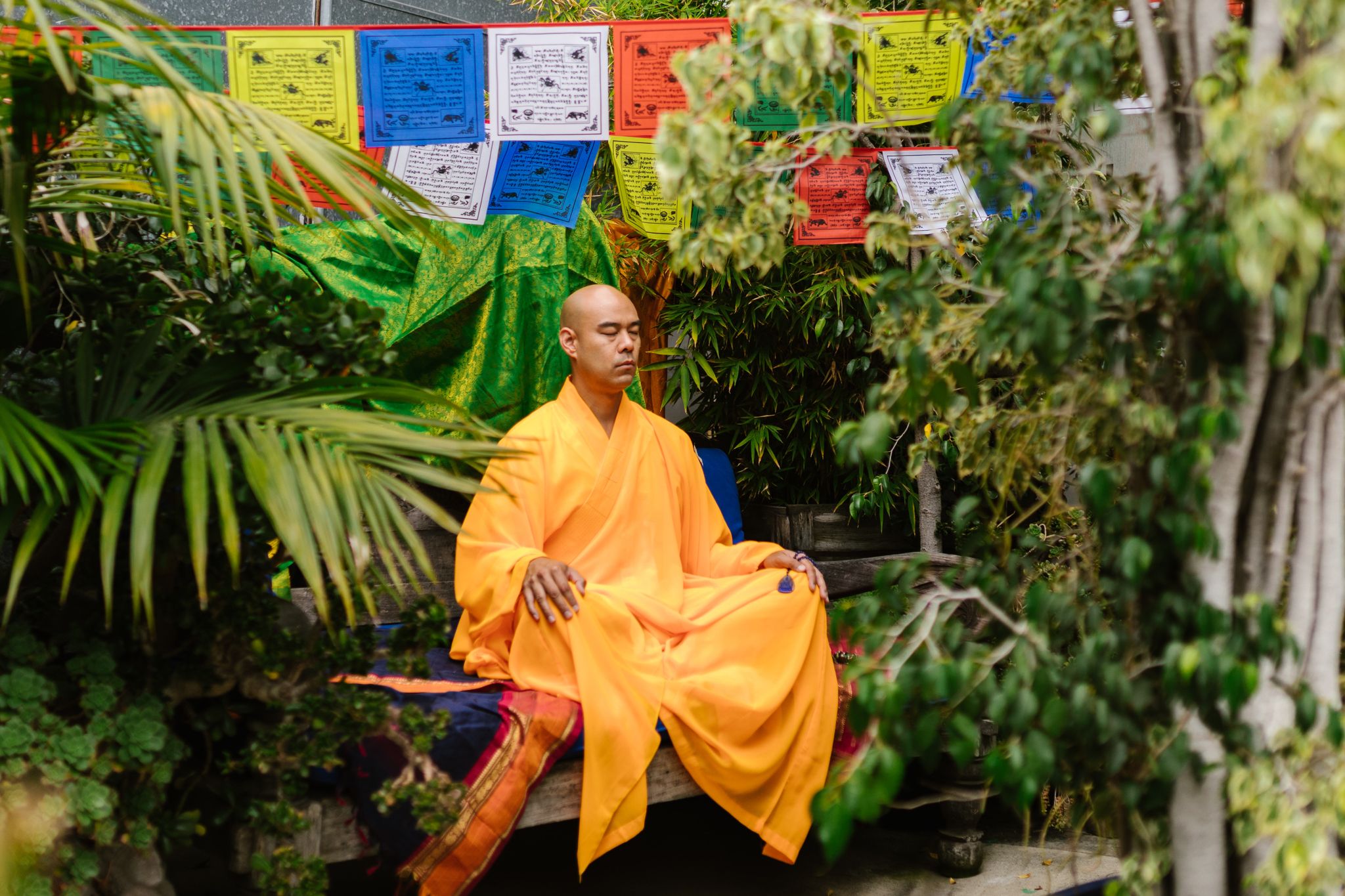 Dhakpo Shedrupling Monastery - Tree Of Life