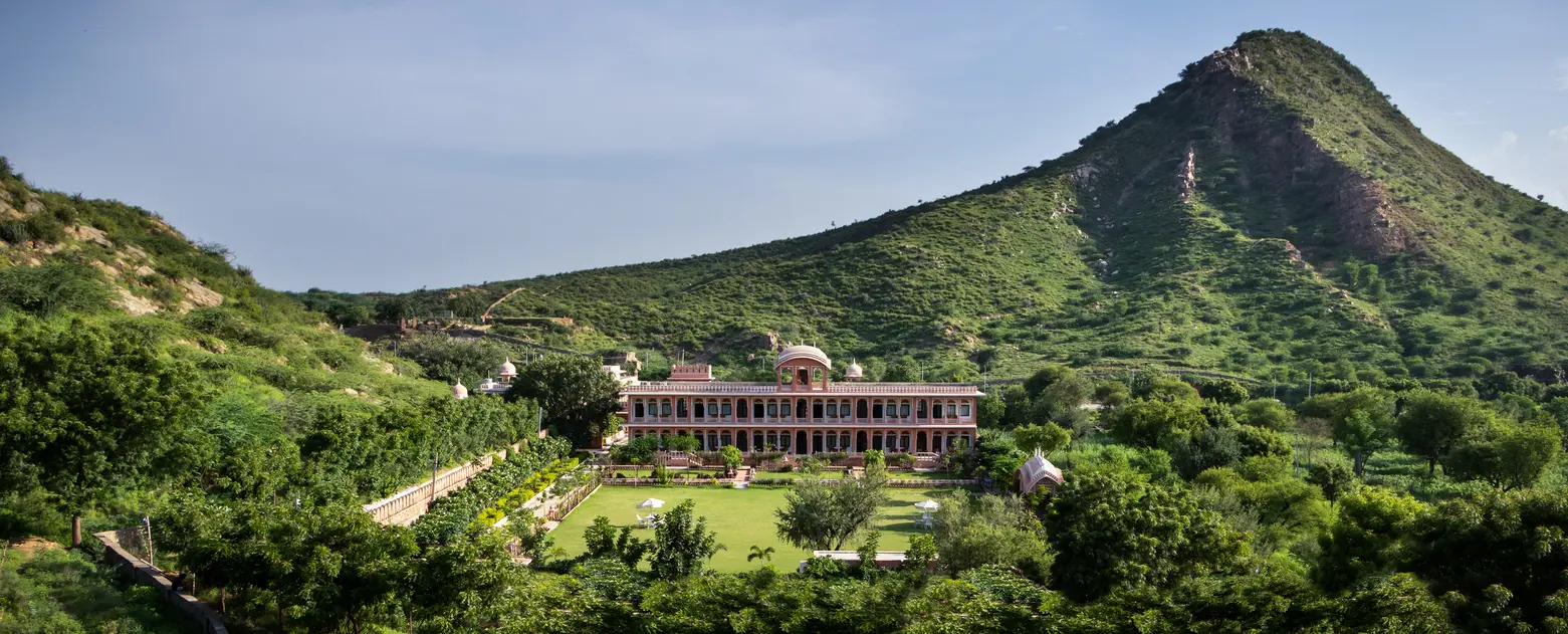 Experiences - Tree Of Life