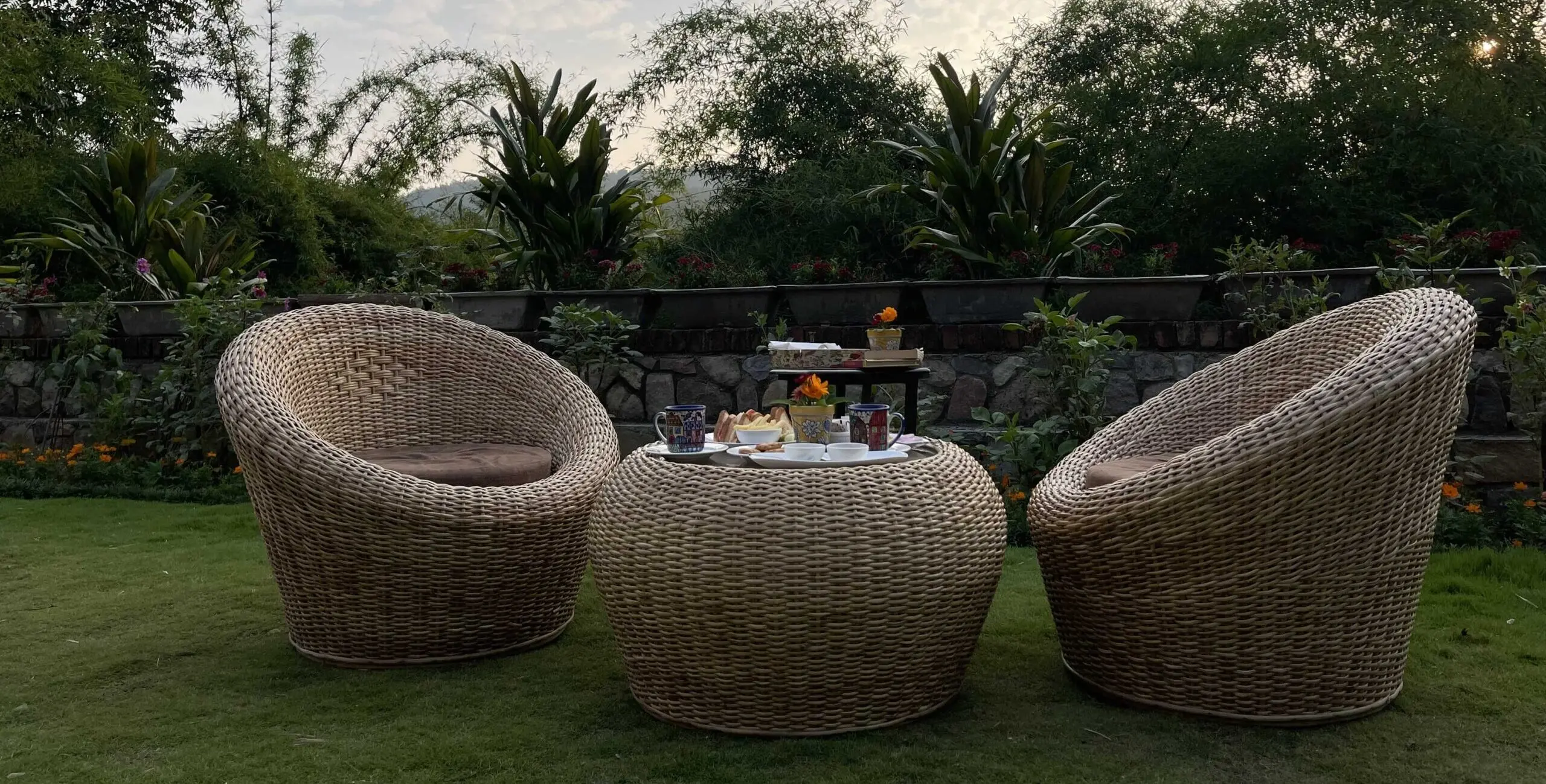 Culinary - Tree Of Life