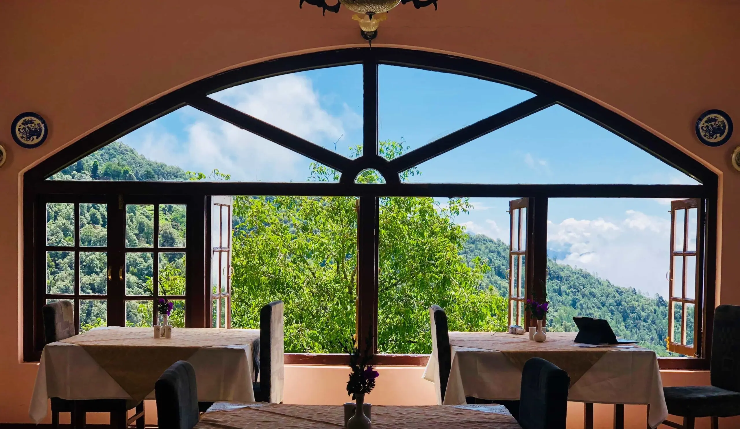 Culinary - Tree Of Life