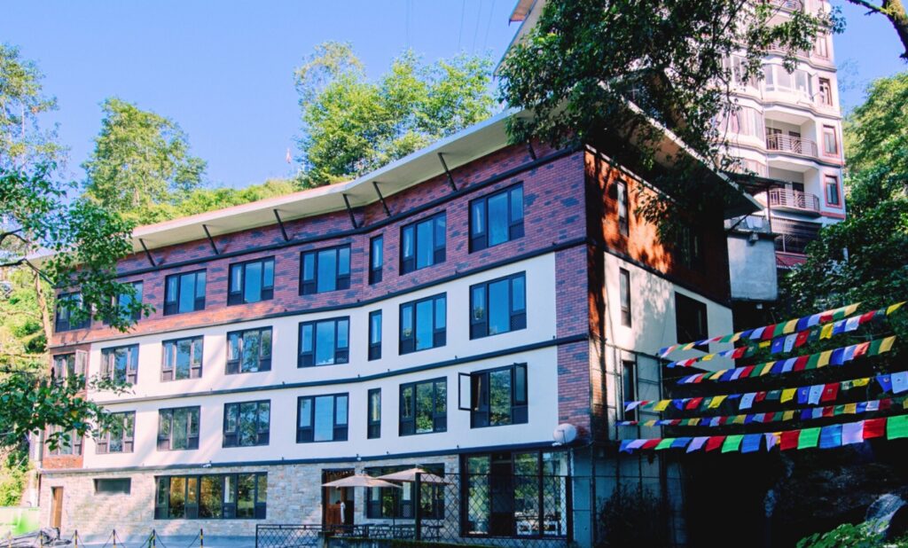 Gallery - Tree Of Life