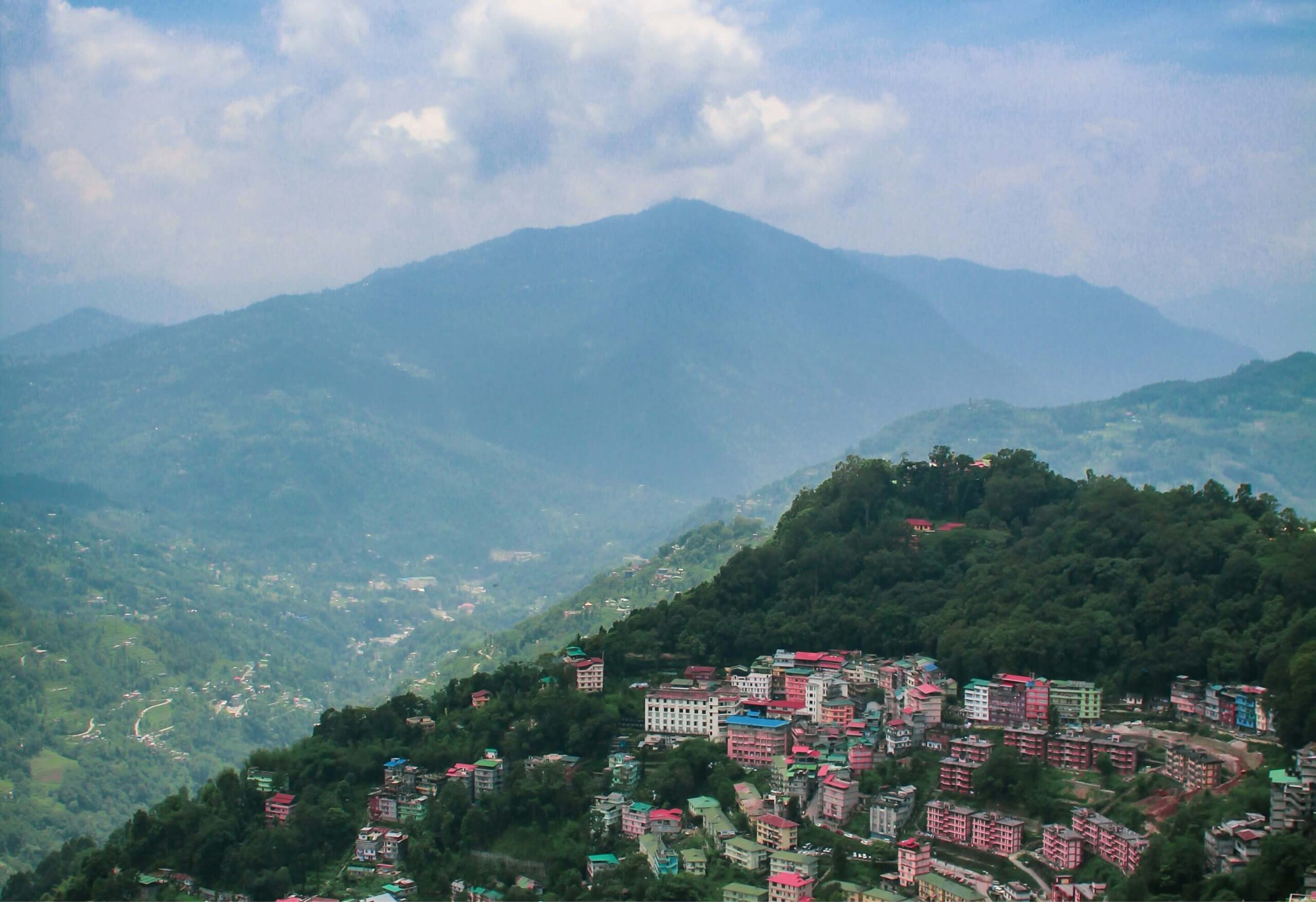Tree of Life Indra Mandala Hotel, Gangtok - Tree Of Life